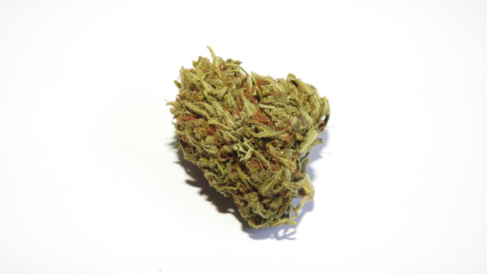 Types of THCA Flower and How to Choose the One - Transmartproject
