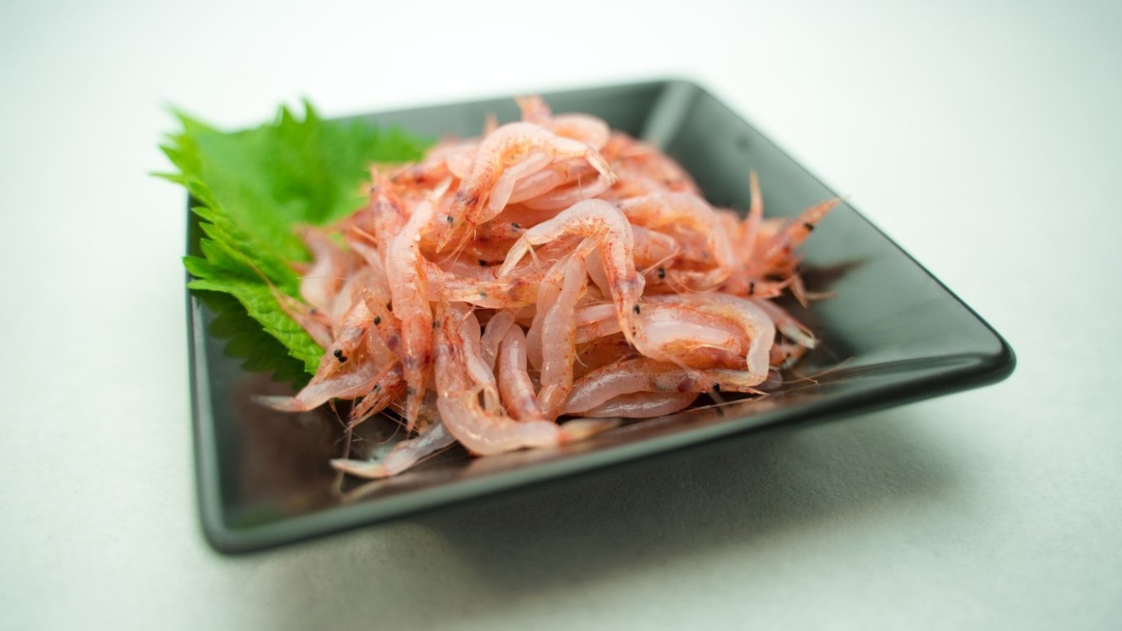 All the Delicious Ways to Cook Key West Pink Shrimp (And Why They’re So ...